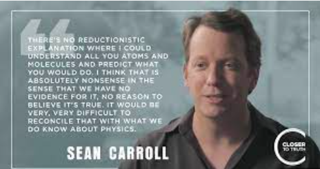 Sean Carroll on free will – a sort of compatibilist | a bonobo humanity?
