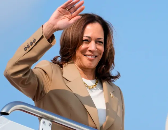 First female US President? One small step for a bonobo humanity… | a ...